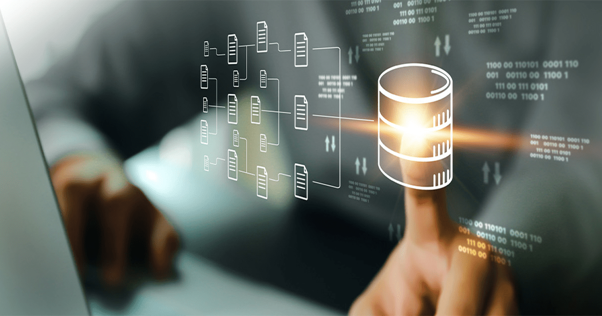 Complete Digital & Portal Development Services - WEBSE